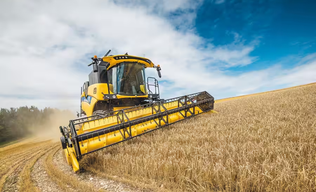 About Ernest Doe - Ernest Doe