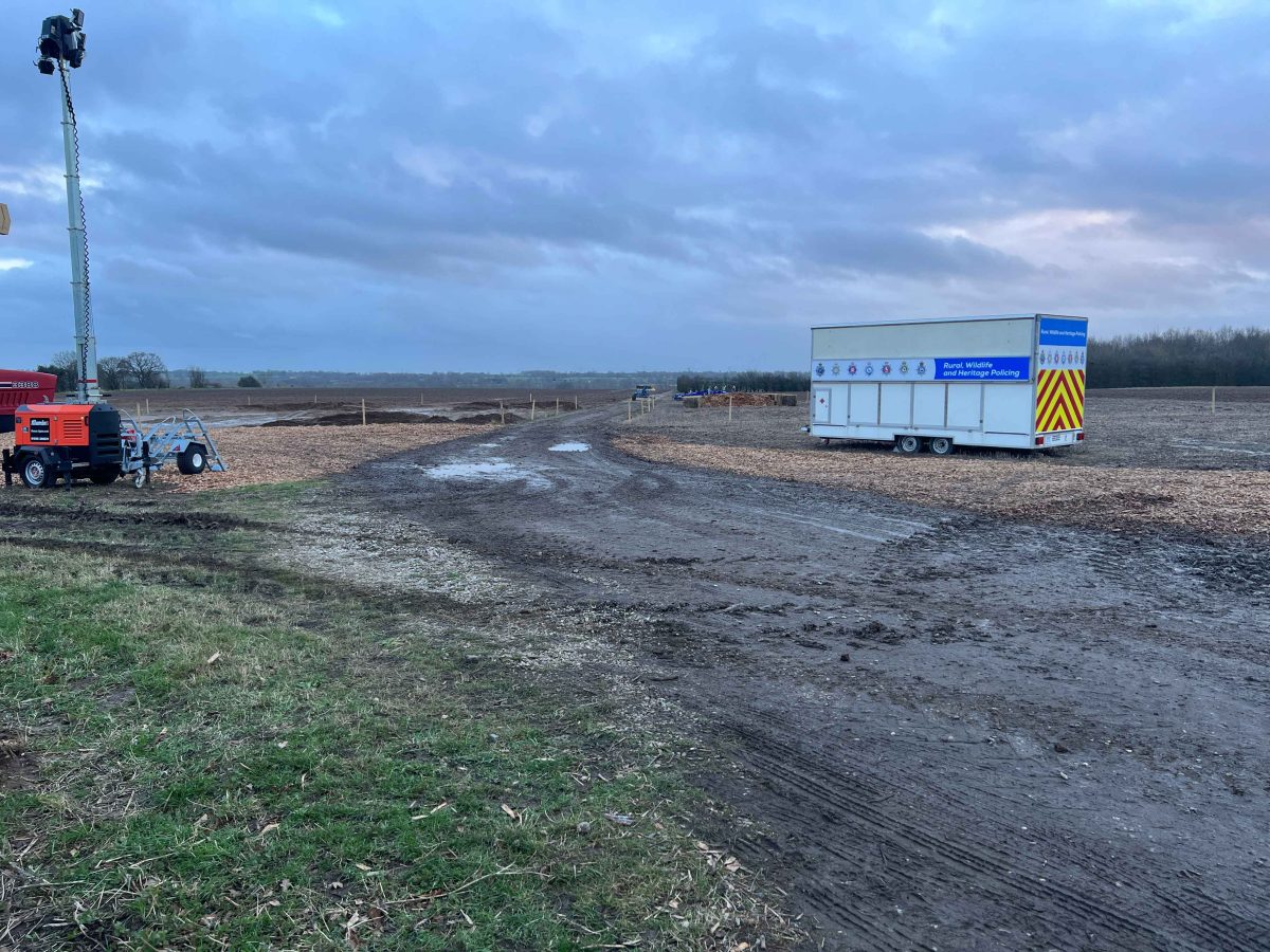 Doe Show Latest News & Updates - Ernest Doe